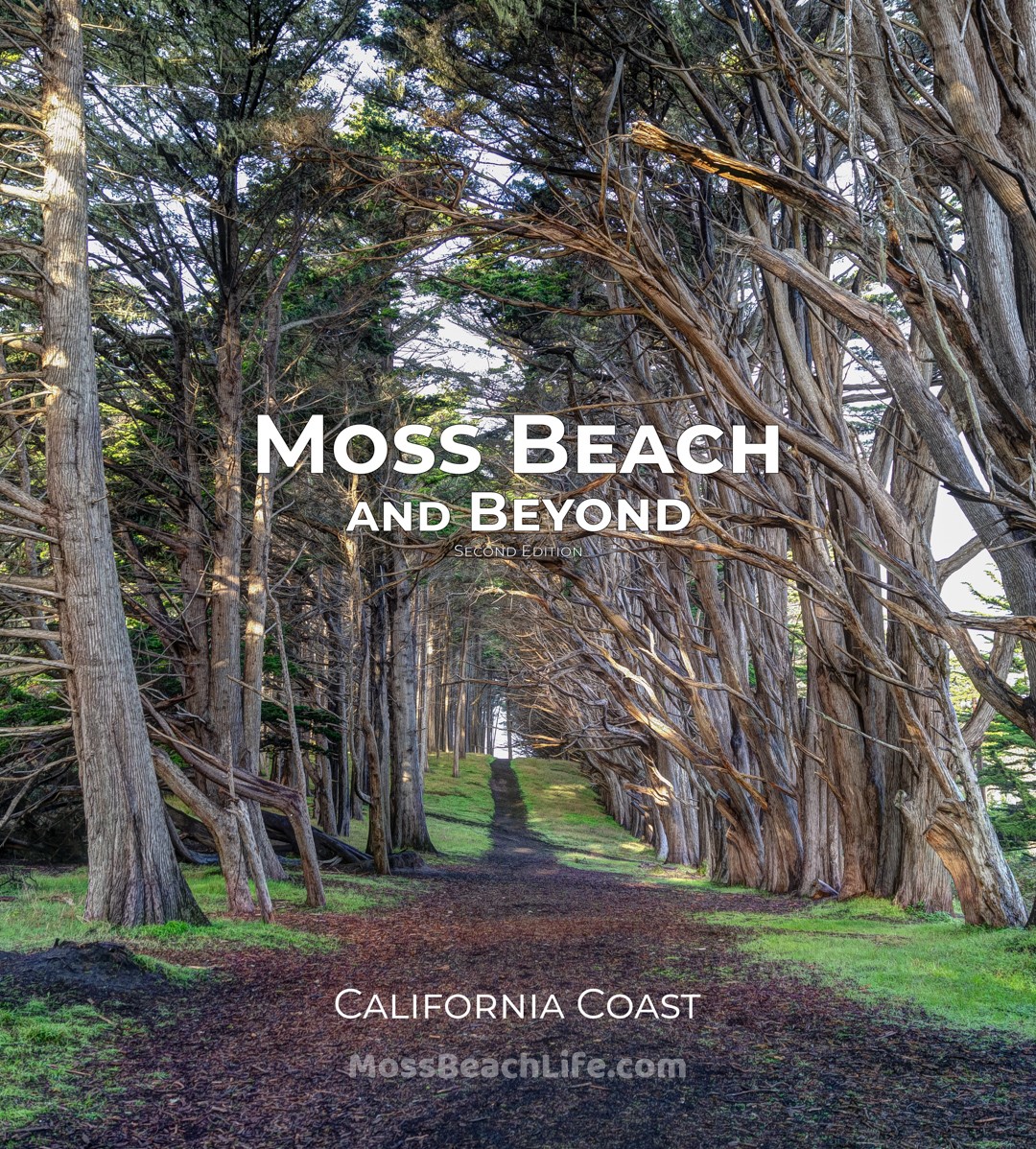 MossBeachLife